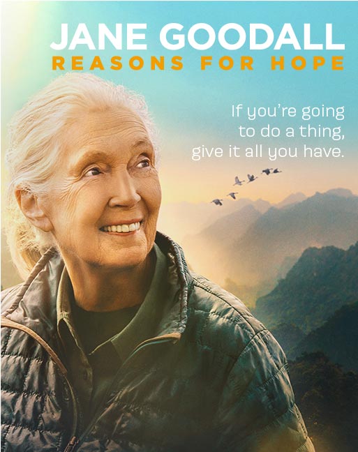 Immersive iMAX Movie Theatre | Science Centre Singapore